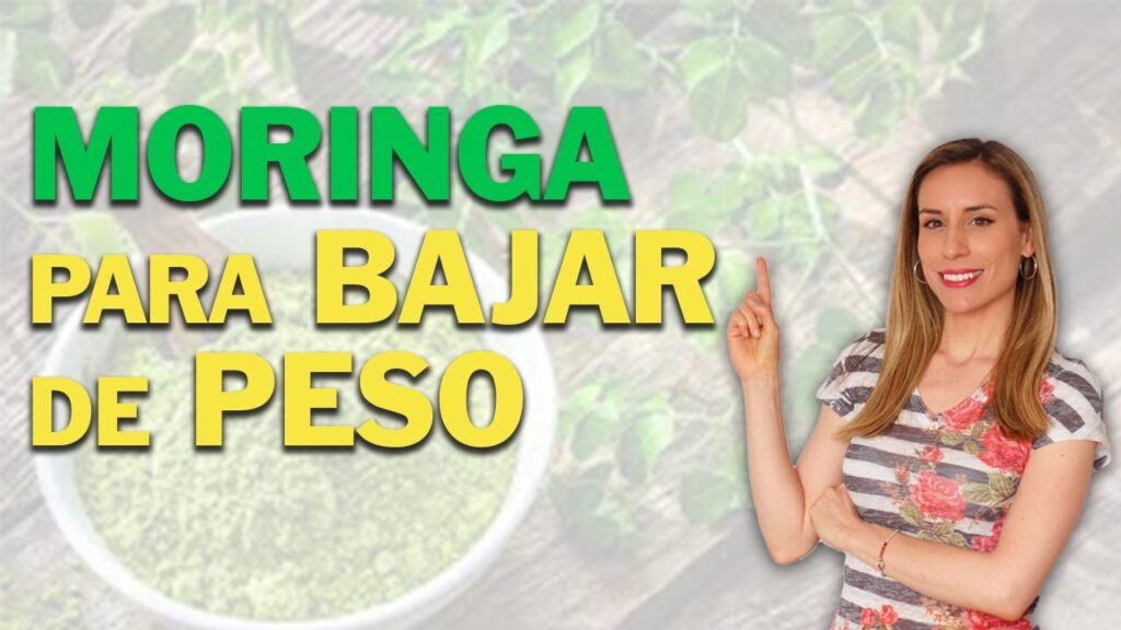 Aprende Cómo Tomar La Moringa Para Perder Peso Fácilmente Nutriaventura