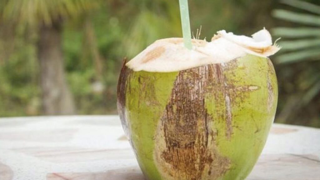Beneficios de beber agua de coco regularmente | Nutriaventura