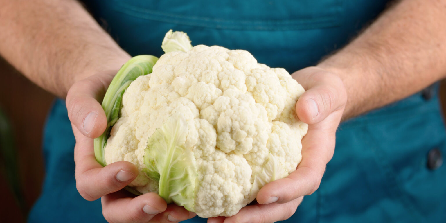 Beneficios de incluir coliflor en tu dieta para este año | Nutriaventura