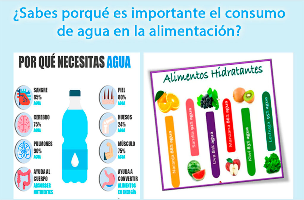 Alimentos con alto contenido de agua: beneficios y recomendaciones ...