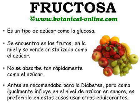 Beneficios y usos de la fructosa en la alimentación | Nutriaventura