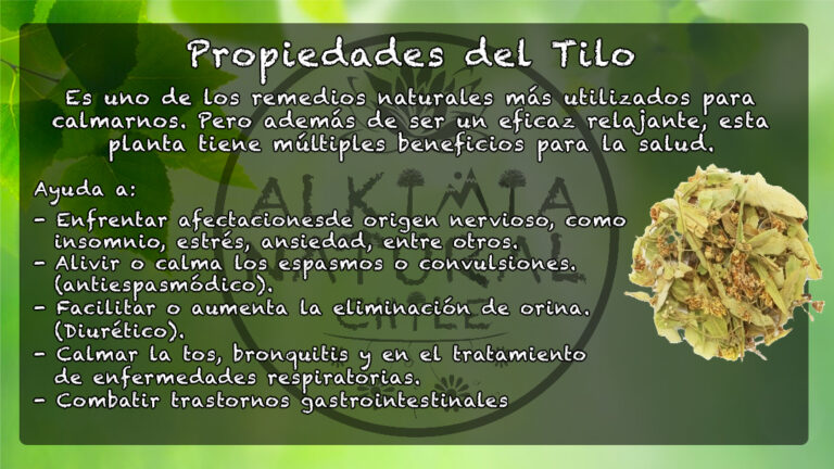 Conoce los impresionantes beneficios saludables del té de tilo ...
