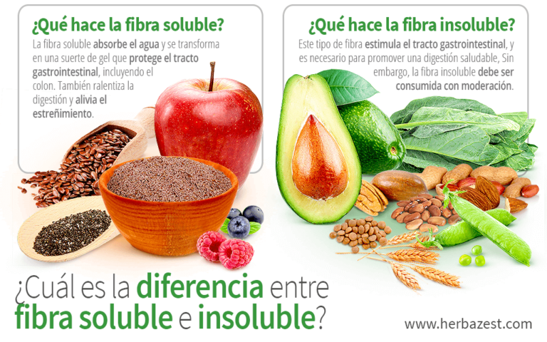 Diferencia entre fibra soluble e insoluble: todo lo que necesitas saber ...