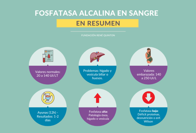 Qué significa tener una fosfatasa alcalina elevada y qué valores se ...